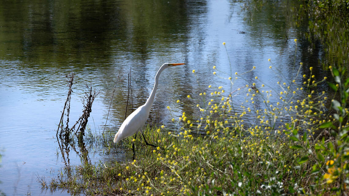 Pictures: Tuolumne River Regional Park | Modesto Bee