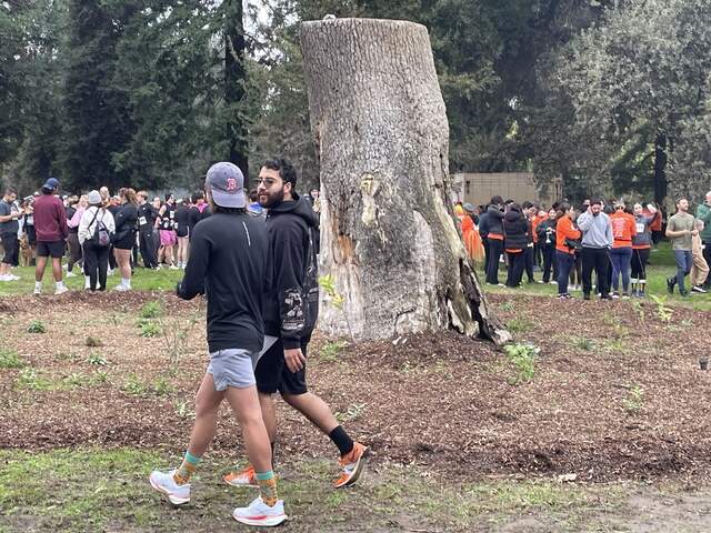 Turkey Trot draws big crowd to river park in Modesto CA | Modesto Bee