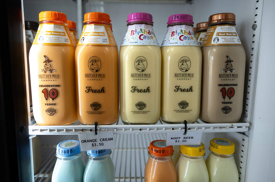 Inside Nutcher Milk Co.: Fresh milk from Modesto cows | Modesto Bee