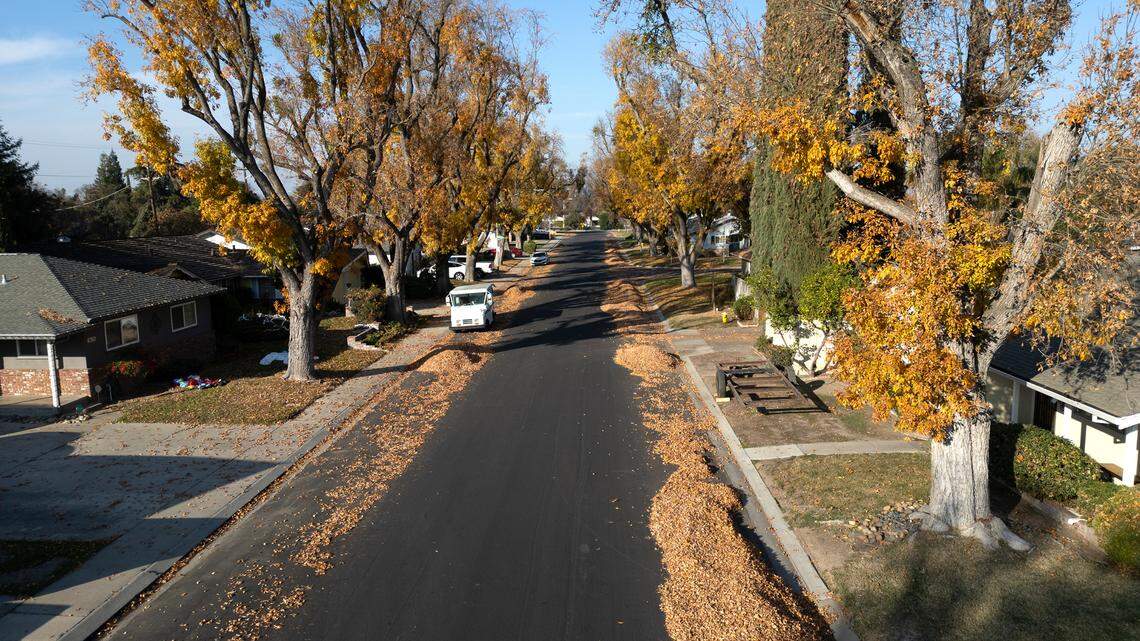 Modesto leaf collection: how to prepare your yard for pickup | Modesto Bee