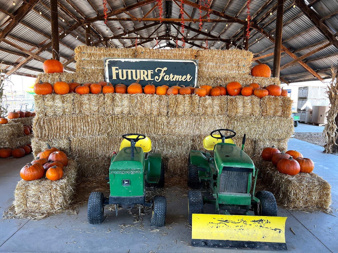 What we did at Dutch Hollow Farms in Modesto, CA on a budget | Modesto Bee