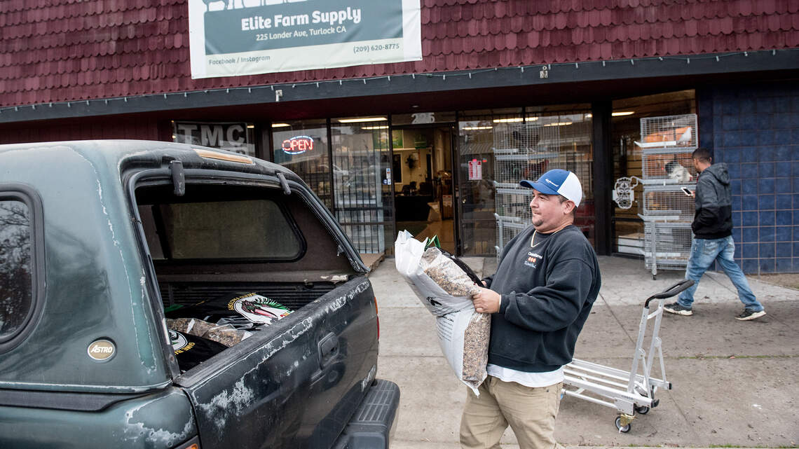 Looking for live chickens or feed? Try this new store in downtown ...