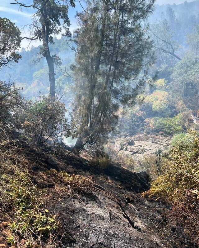 Aero Fire in Calaveras largely contained, heat intensifies | Modesto Bee
