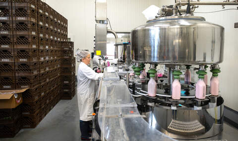 Inside Nutcher Milk Co.: Fresh milk from Modesto cows | Modesto Bee
