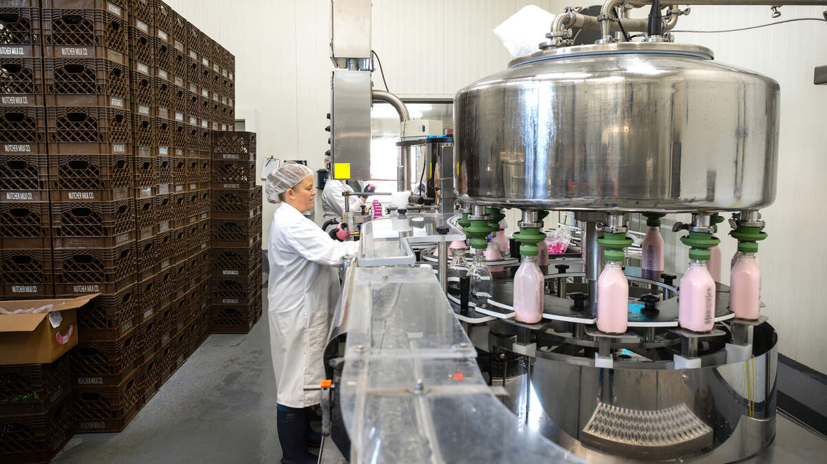 Inside Nutcher Milk Co.: Fresh milk from Modesto cows | Modesto Bee