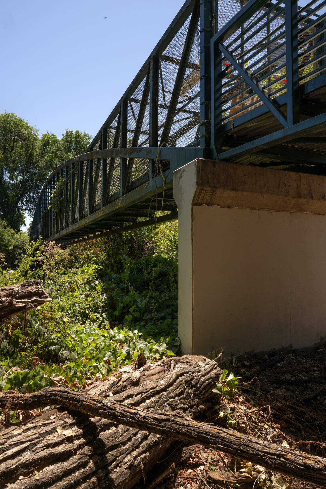 River trail bridge reopens between Salida and Ripon CA | Modesto Bee