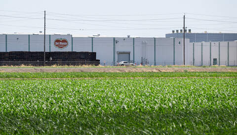 Del Monte bankruptcy leaves Central Valley peach growers reeling ...