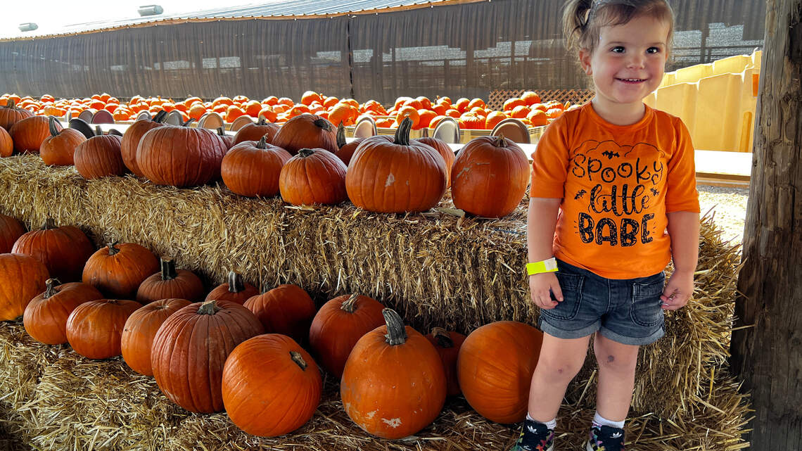 What we did at Dutch Hollow Farms in Modesto, CA on a budget | Modesto Bee